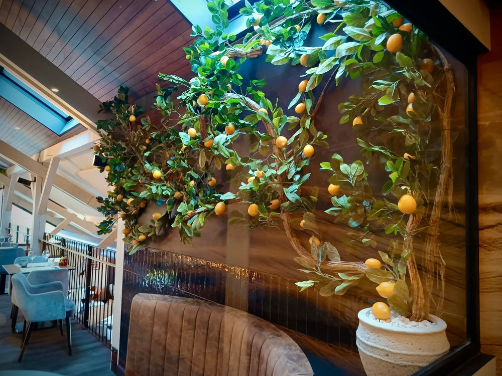 Installation de citronniers grimpants semi-naturels - Restaurant ITALO