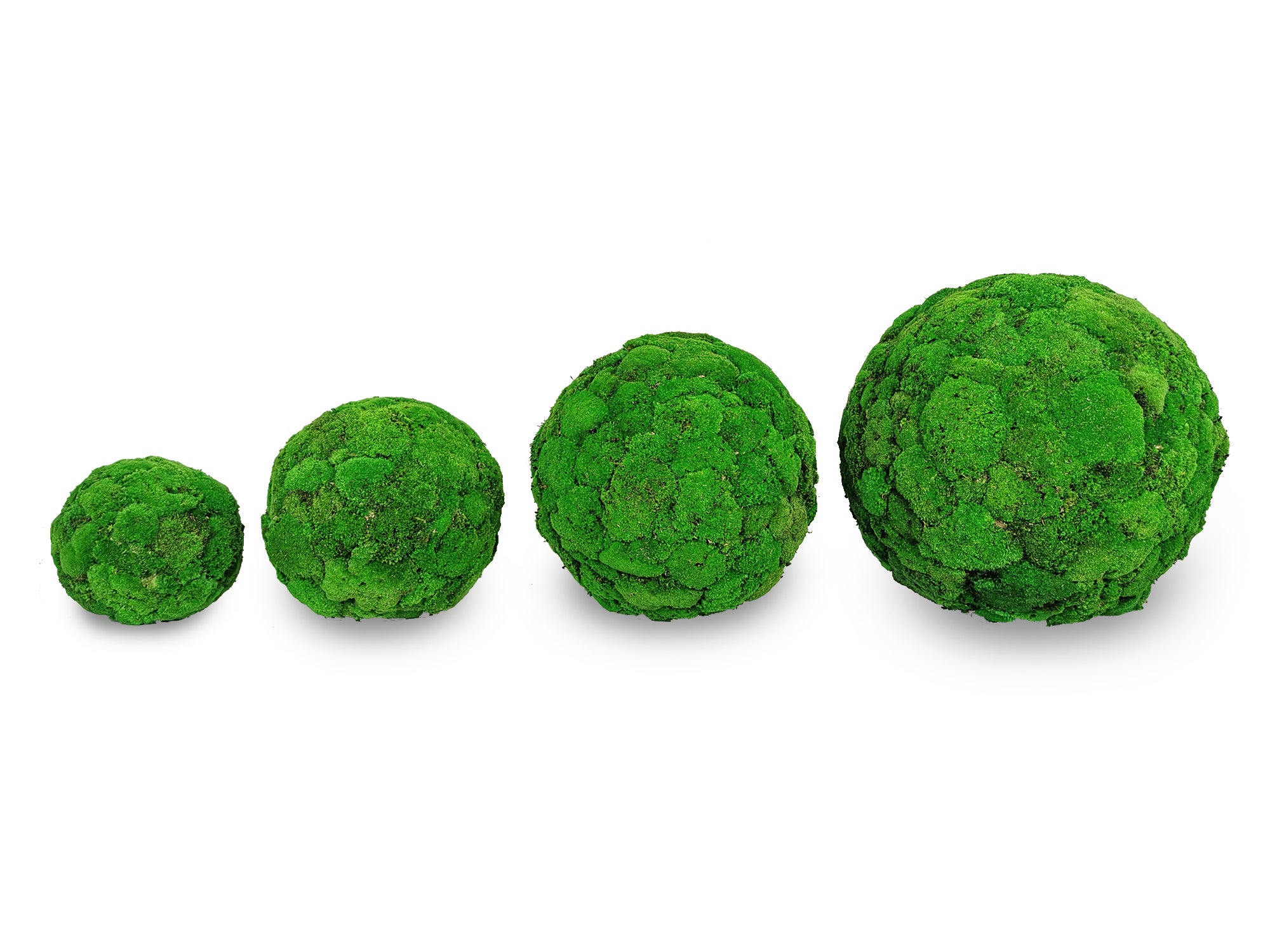 Sphère Mousse Boule Stabilisée | Décoration Végétale | Naturall Green