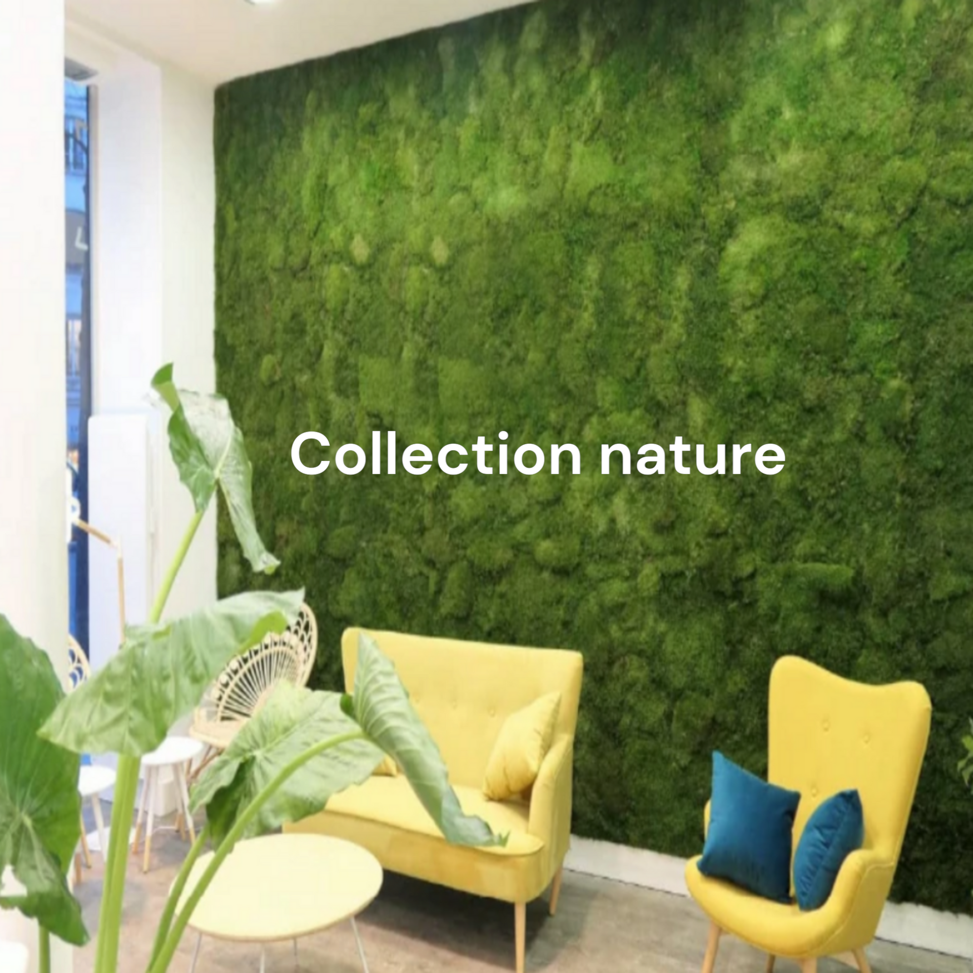 Mur Végétal Stabilisé Sur Mesure | Naturall Green