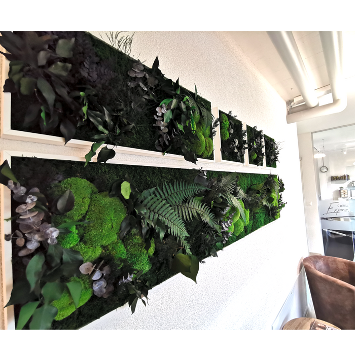 Tableaux végétaux naturels stabilisés