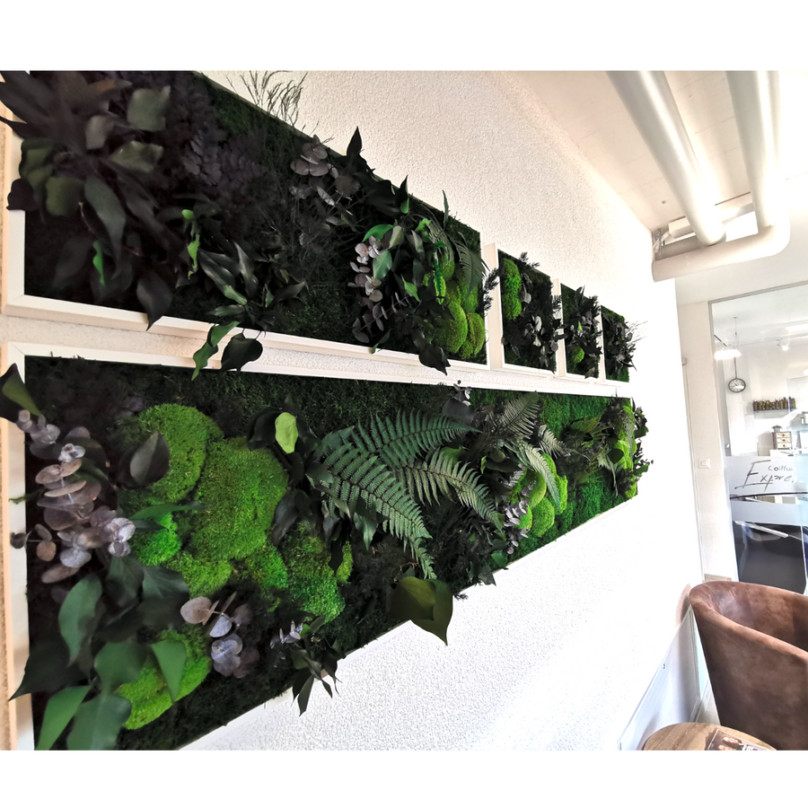 Tableaux végétaux naturels stabilisés