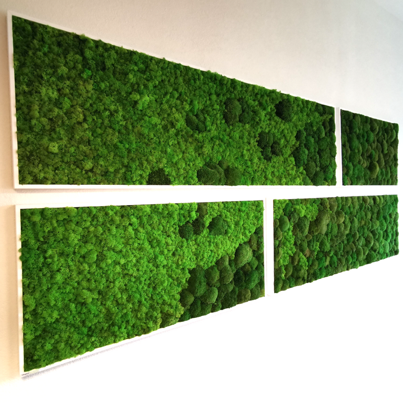 Tableaux végétaux naturels stabilisés