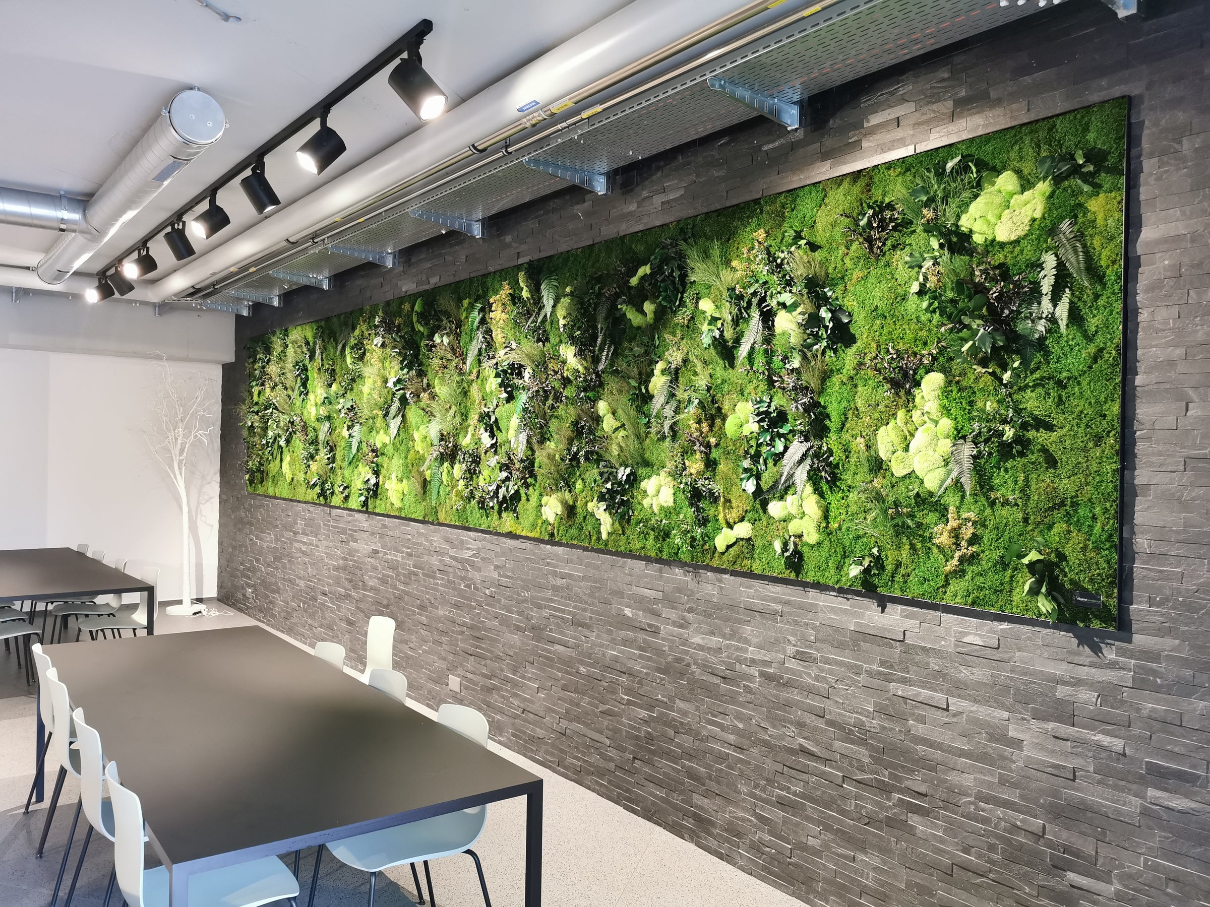 Tableau Végétal pour Intérieur et Extérieur | Naturall Green